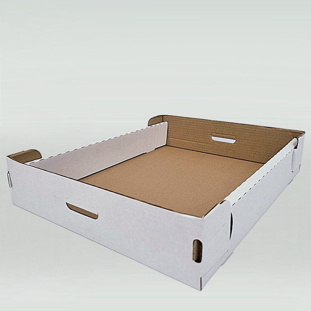 קרטון לסופגניות – Omega Paper Products